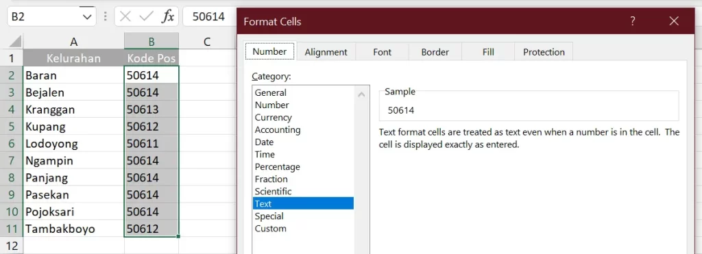 Cara Memformat Angka di Excel | Excelandor
